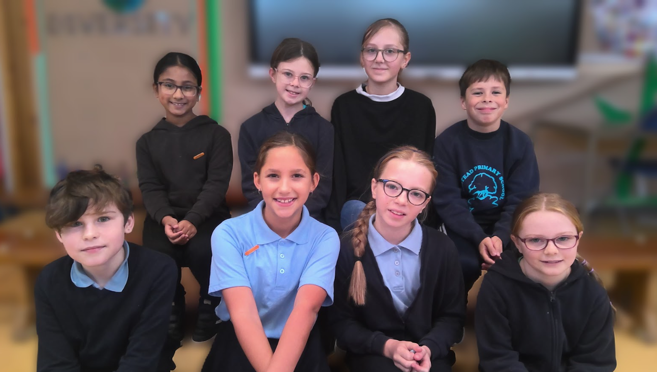 Elmstead Primary School - Reading